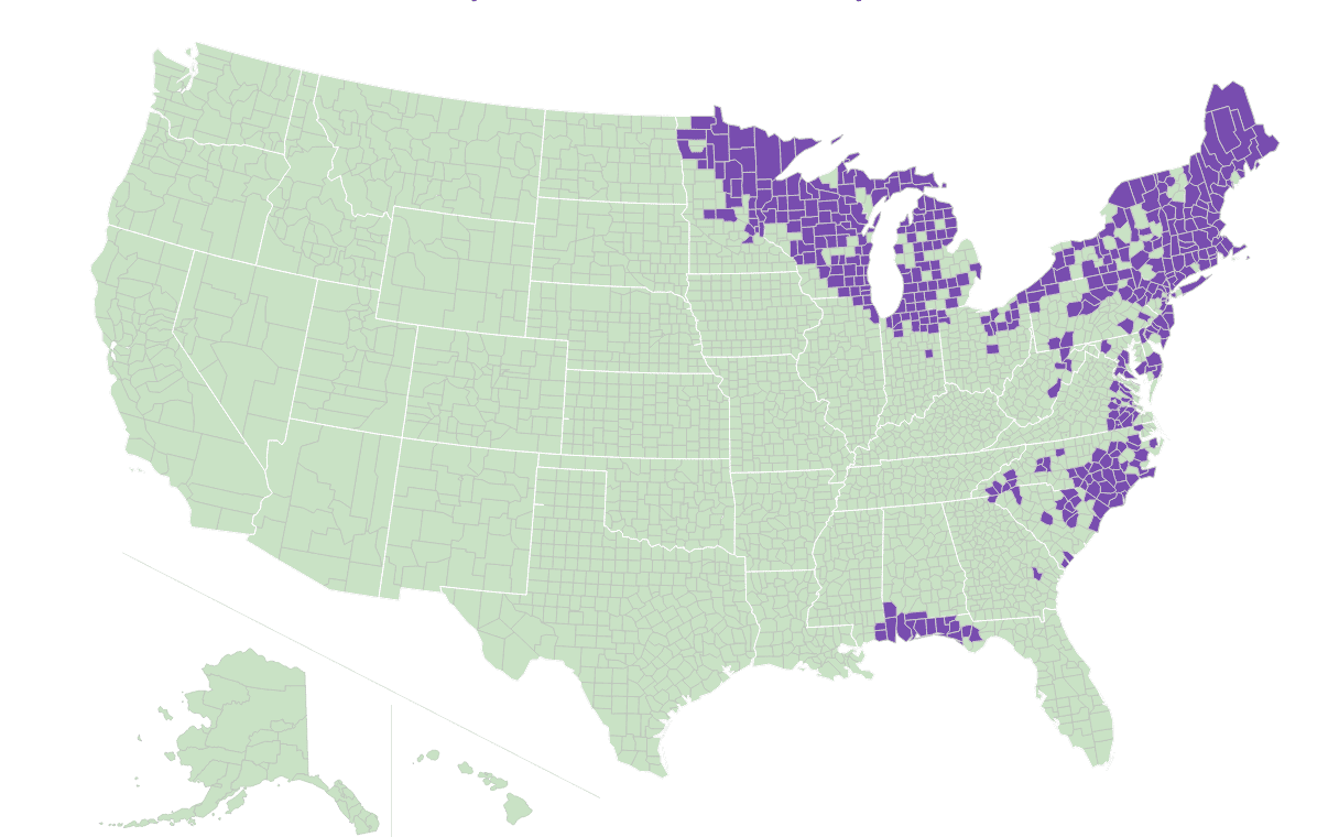 How to Grow Pitcher Plants - Step by step Guide - The Garden Hows