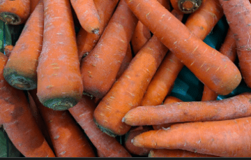 Do Carrots Go Bad? Here’s why and what you can do – The Garden Hows