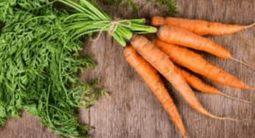 Do Carrots Go Bad? Here’s why and what you can do – The Garden Hows