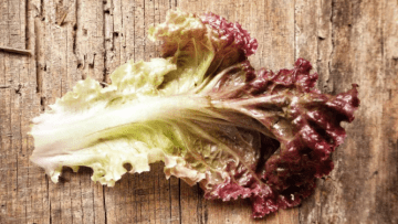 Lettuce Turning Red or Pink: The reasons and what you can do – The ...