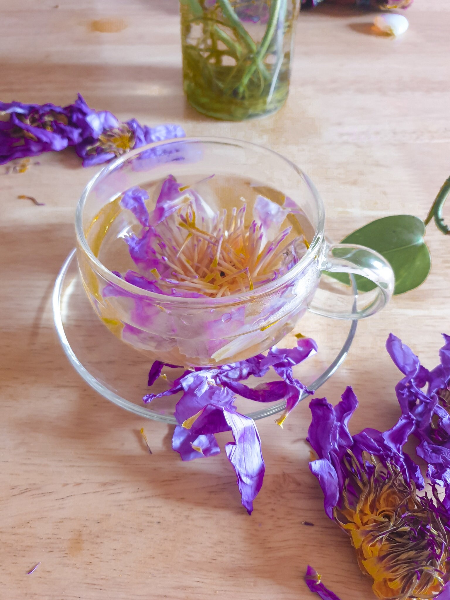 Blue Lotus Flower Tea Benefits | Best Flower Site