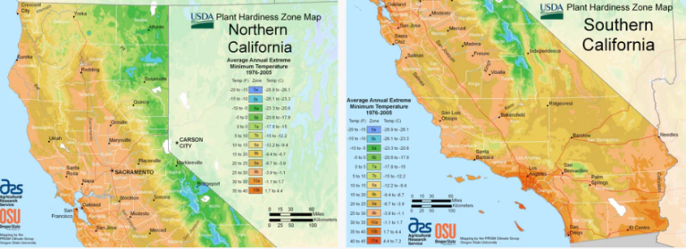 California - Planting Zone Guide - The Garden Hows